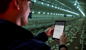 Boost Broiler Health with Dynamic Lighting