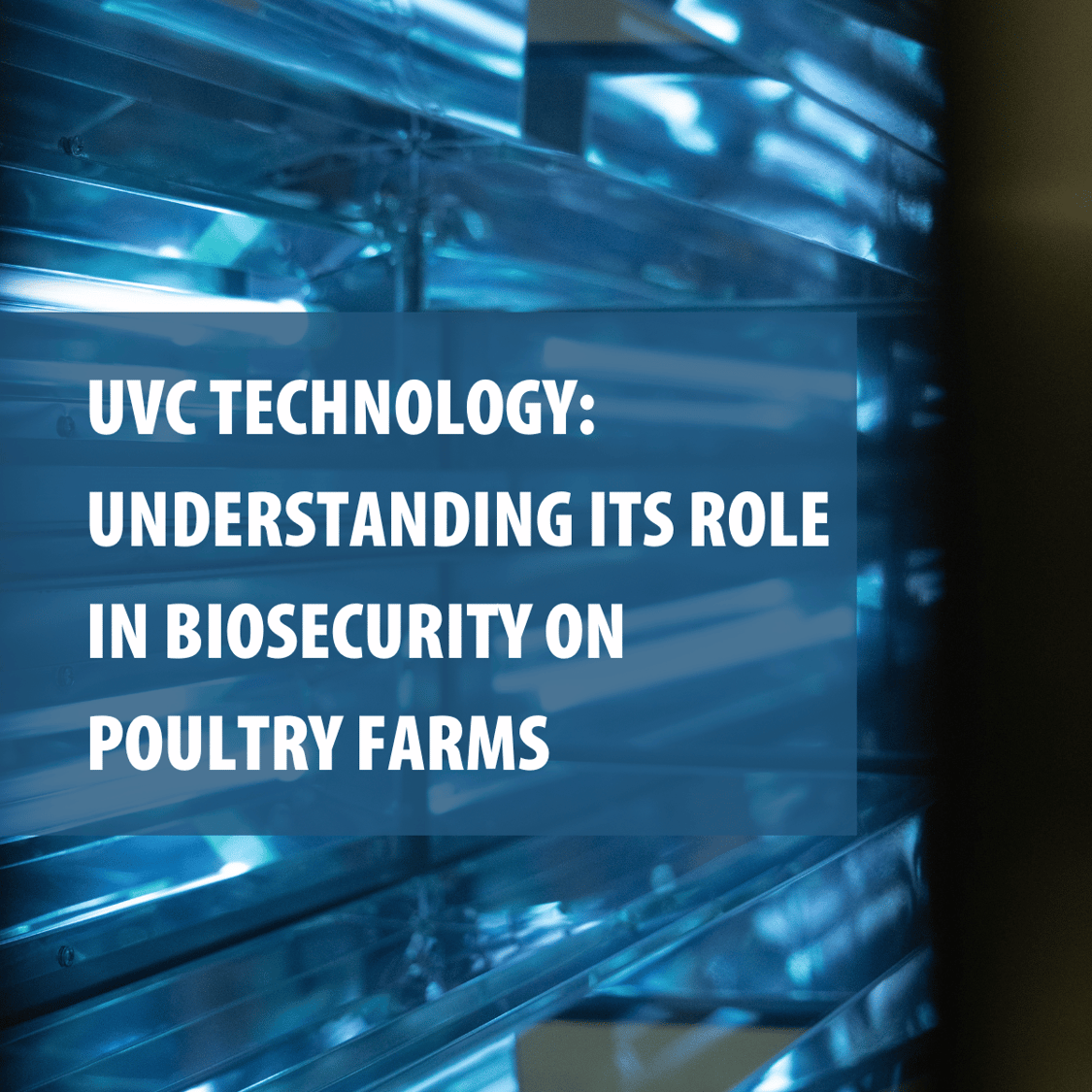 UVC technology: Understanding its role in biosecurity on poultry farms