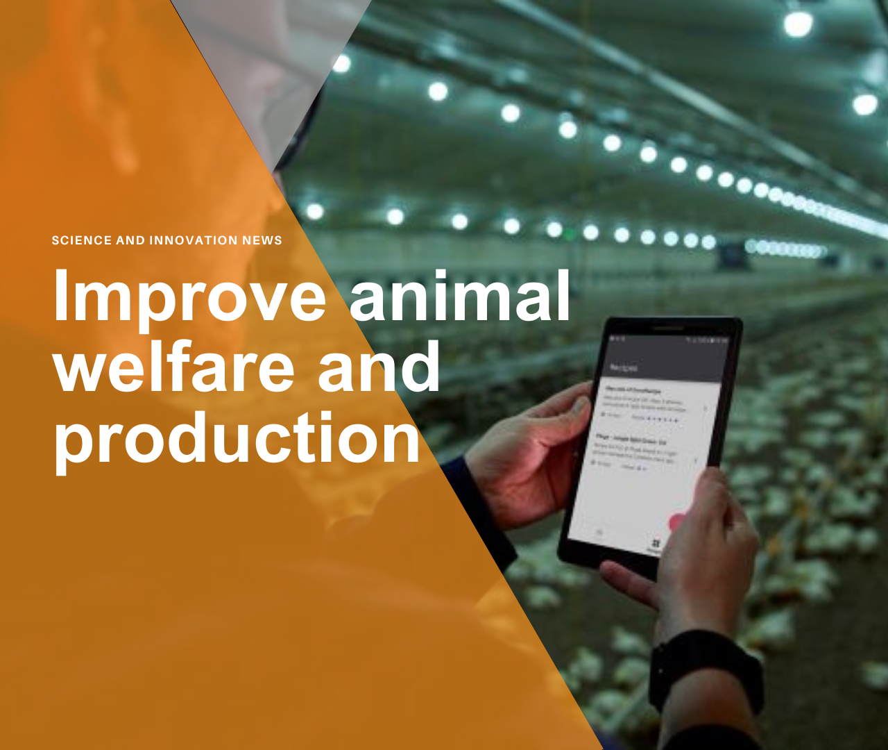 Signify field study finds ONCE Junglite recipe improves animal welfare ...