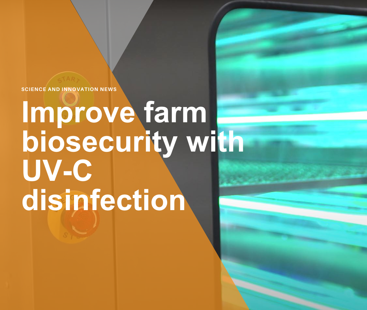 Improve farm biosecurity with UV-C disinfection