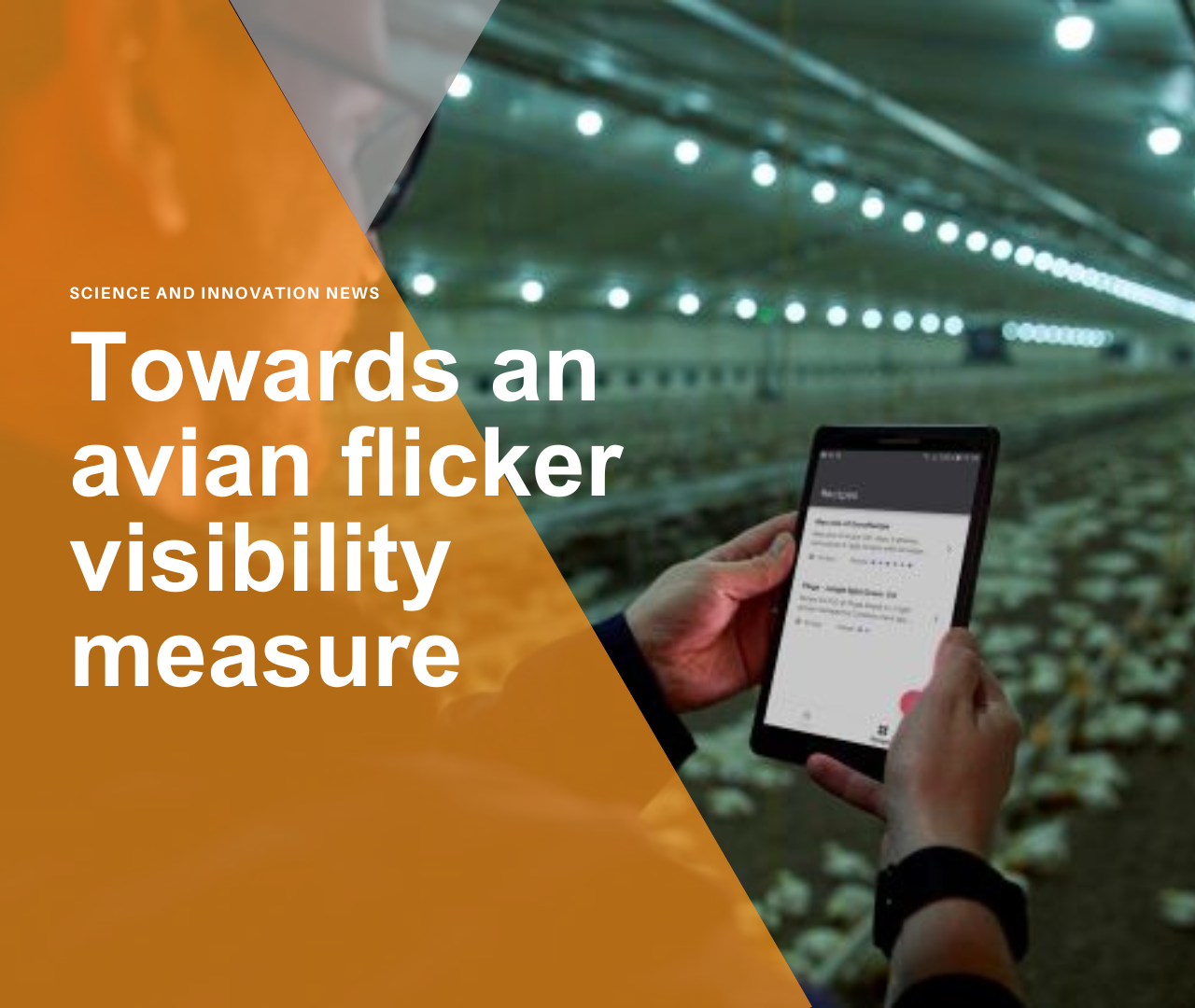 Towards an avian flicker visibility measure