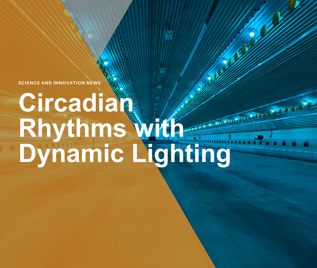 Dynamic Lighting System at Elaine Osborn blog