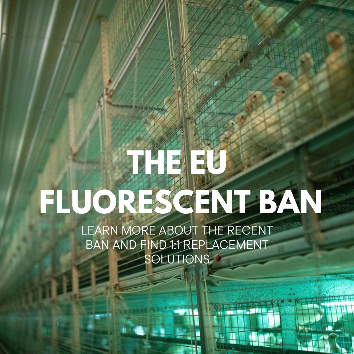 European Union BAN on fluorescent Lights