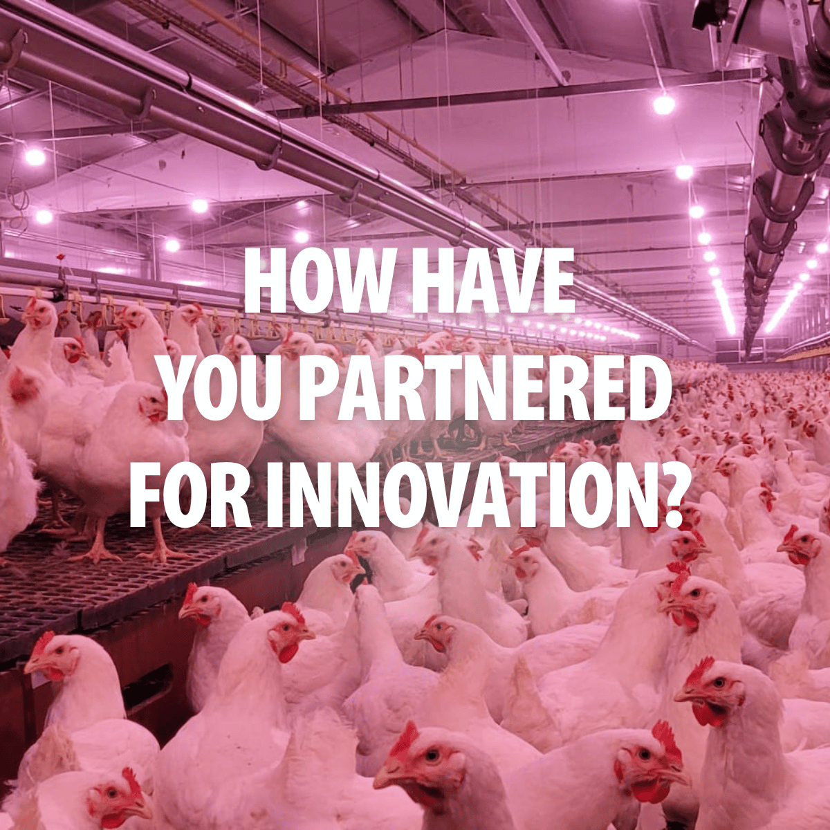 Partnering for Innovation