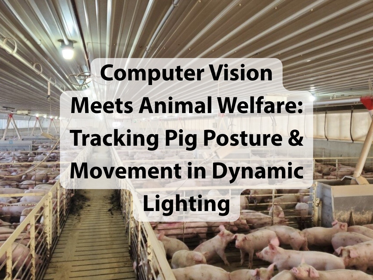 Computer vision Meets Animal Welfare: Tracking Pig Posture and Movement ...