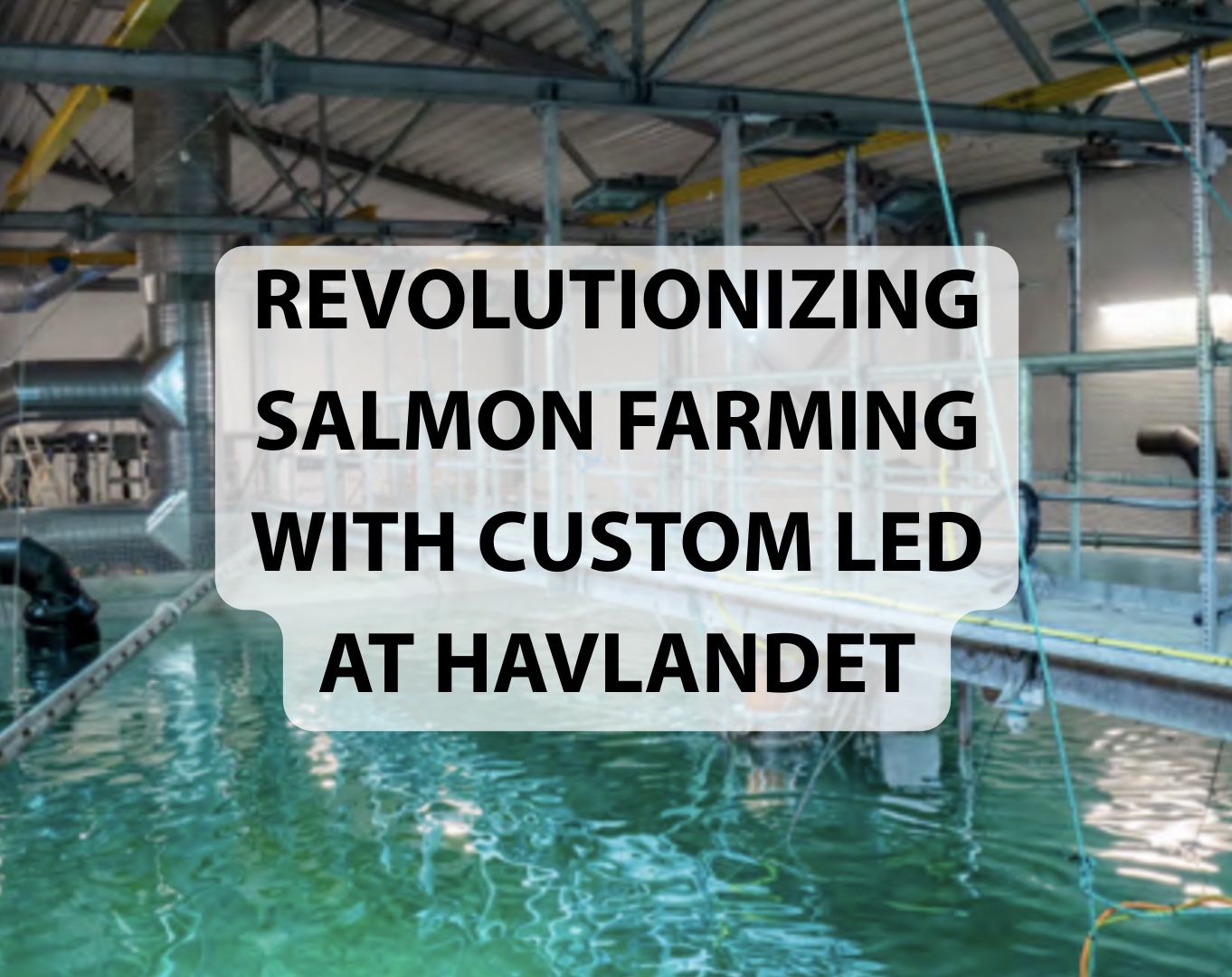 Revolutionizing Salmon Farming with Custom LED Lighting at Havlandet