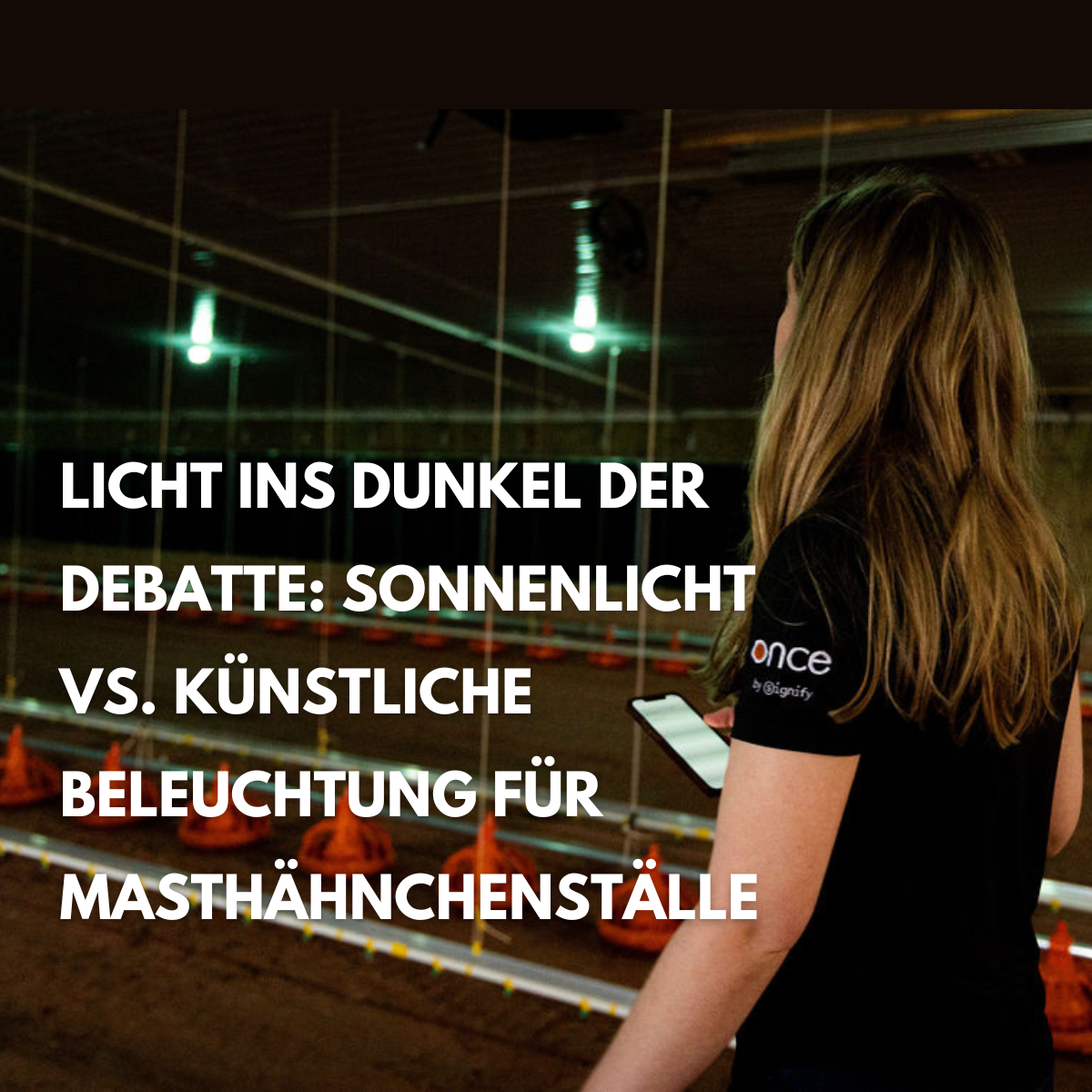 Licht ins Dunkel der Debatte: Sonnenlicht vs. künstliche Beleuchtung ...
