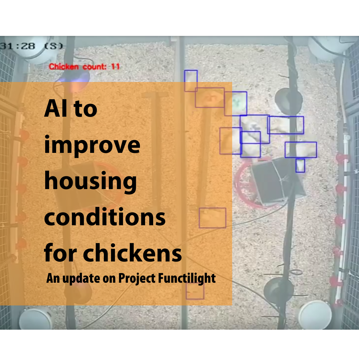 AI to improve housing conditions for chickens: an update on project ...