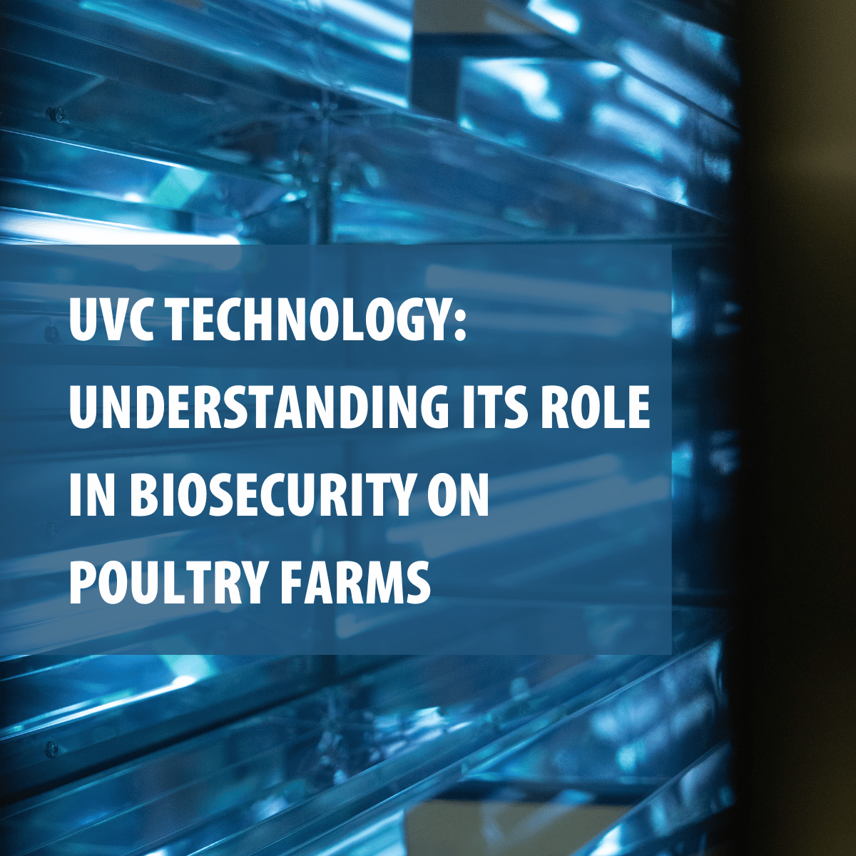 UVC technology: Understanding its role in biosecurity on poultry farms